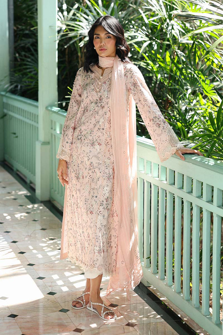 Qalamkar | Qprints 2026 | AX - 02 (B) KENA | House of Ayeza